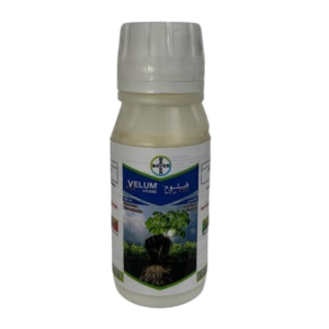 Velum Prime - Agriclic.tn